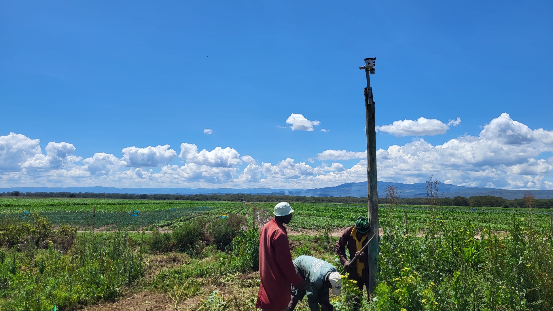 ImpactXM | Hyperlocal Climate Data Infrastructure for Vulnerable Regions